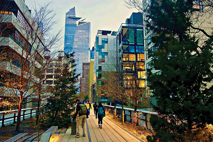 50 Back: Urban Interventions